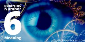 Numerology Number 6 Meaning Is So Famous, But Why?
